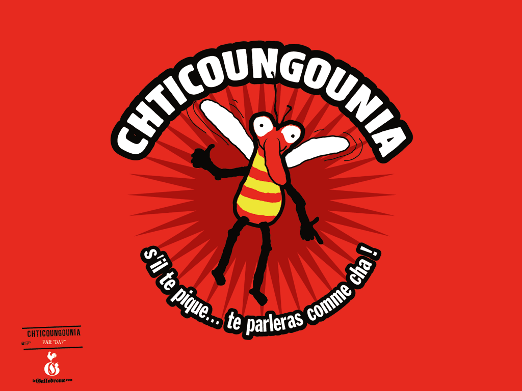 Photo chticoungounia1024x768 de l'album chti