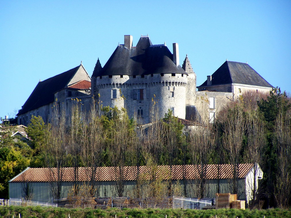 Photo a Barbezieux 16 chateau 7372 de l'album viree08 ECT